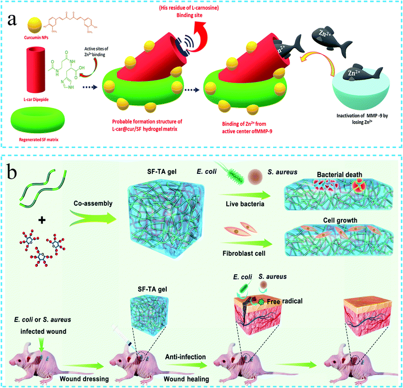Functional silk fibroin hydrogels: preparation, properties and ...
