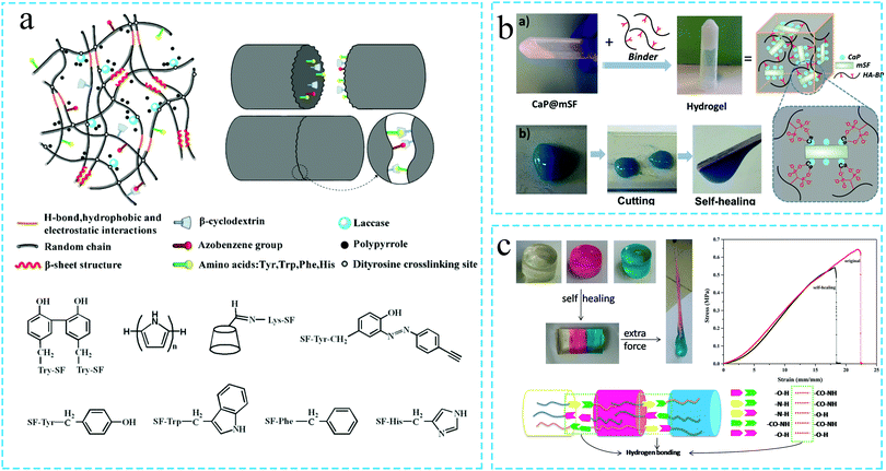 Functional silk fibroin hydrogels: preparation, properties and ...