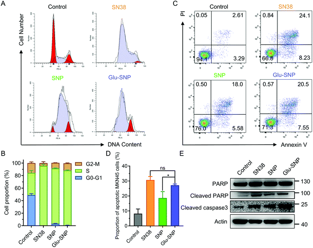 “Sweet tooth”-oriented SN38 prodrug delivery nanoplatform for targeted ...
