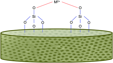 A review on diatom biosilicification and their adaptive ability to ...