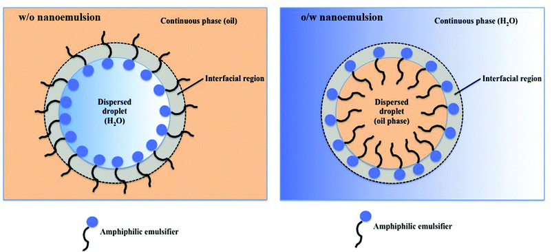 Fabrication of nanoparticles for bone regeneration: new insight into ...