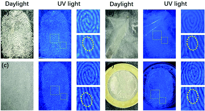 Facile synthesis of solid-state fluorescent organosilica nanoparticles ...