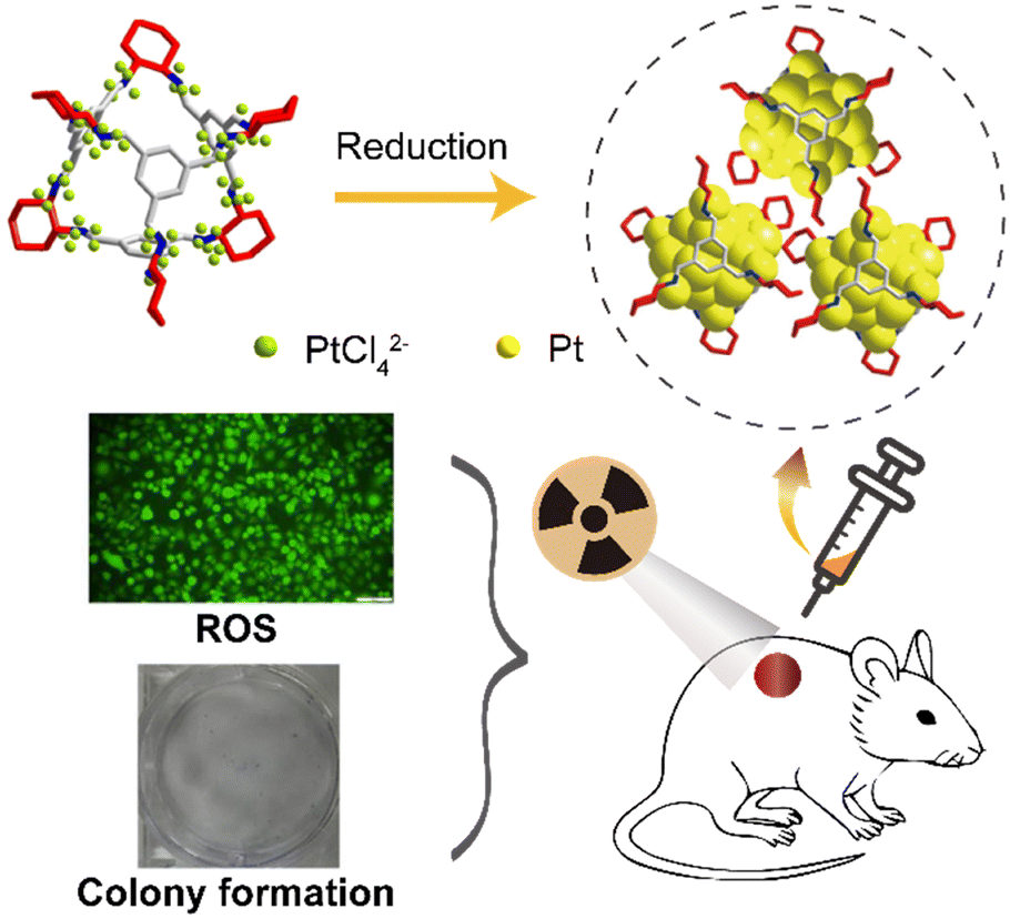 Recent advances in the applications of porous organic cages - Chemical ...