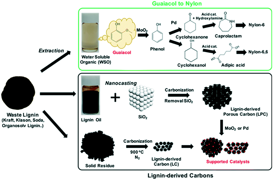 Complete utilization of waste lignin: preparation of lignin-derived ...