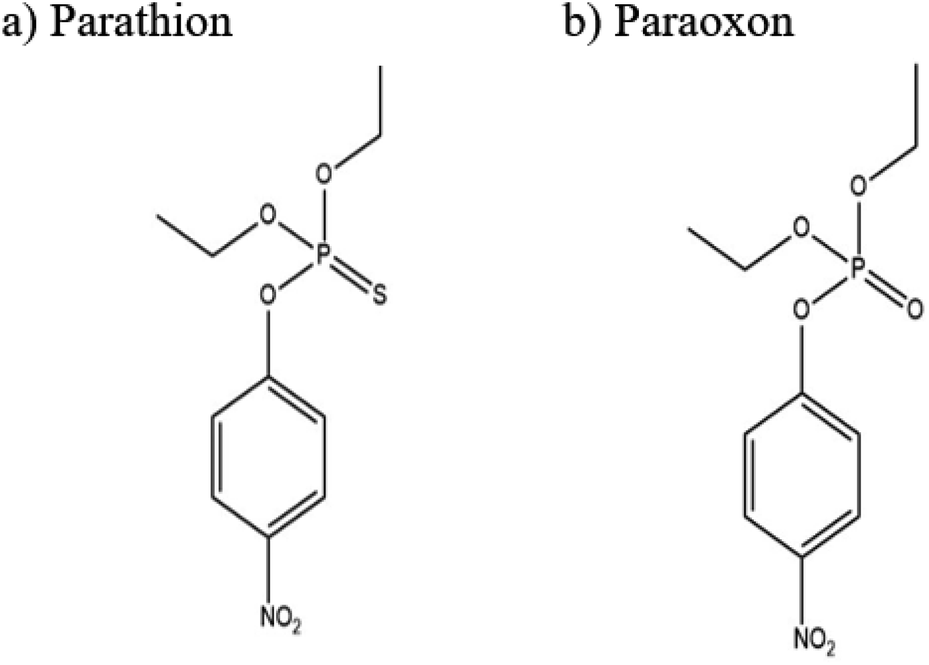 Density functional theory explorations of parathion and paraoxon ...