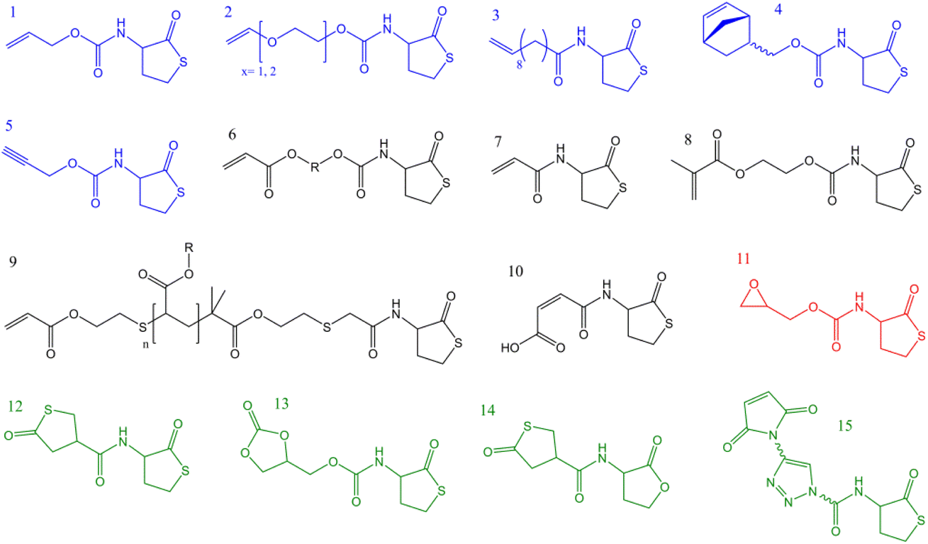 Thiolactone chemistry, a versatile platform for macromolecular ...