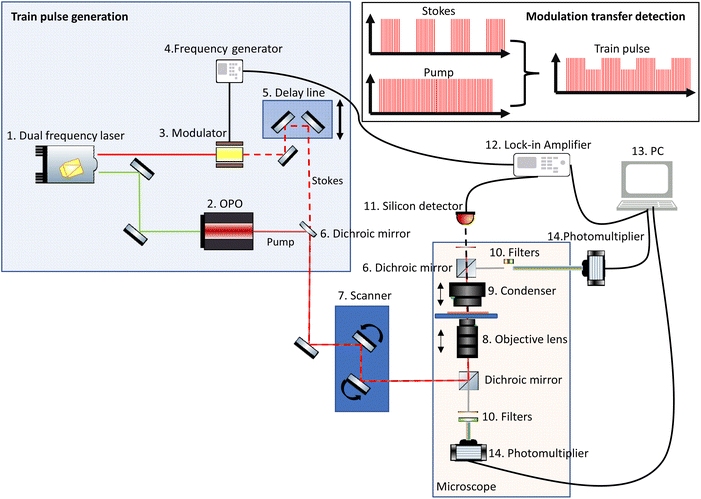 Practical considerations for quantitative and reproducible measurements ...