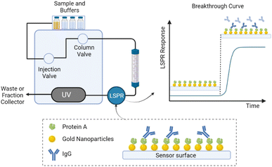 Process integrated biosensors for real-time monitoring of antibodies ...