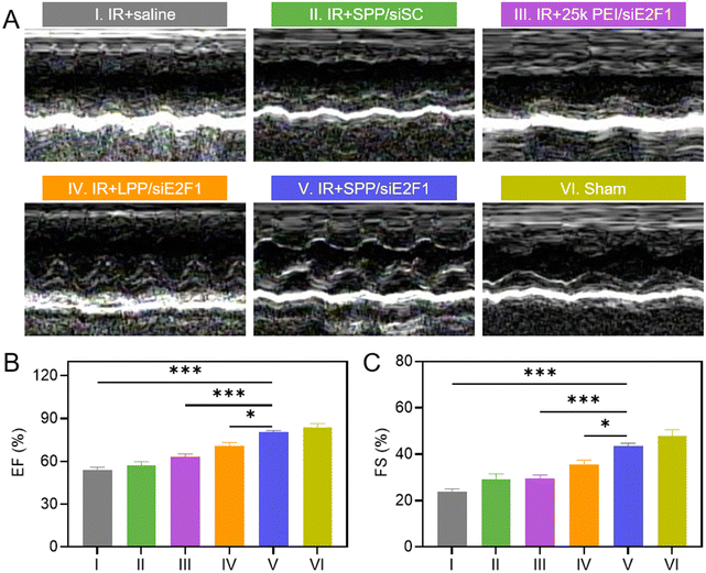 Spherical α-helical polypeptide-mediated E2F1 silencing against ...