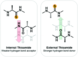 Structural impact of thioamide incorporation into a β-hairpin - RSC ...