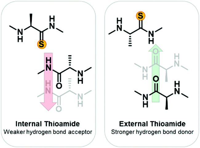 Structural impact of thioamide incorporation into a β-hairpin - RSC ...