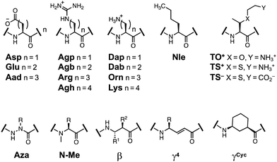 Structural impact of thioamide incorporation into a β-hairpin - RSC ...