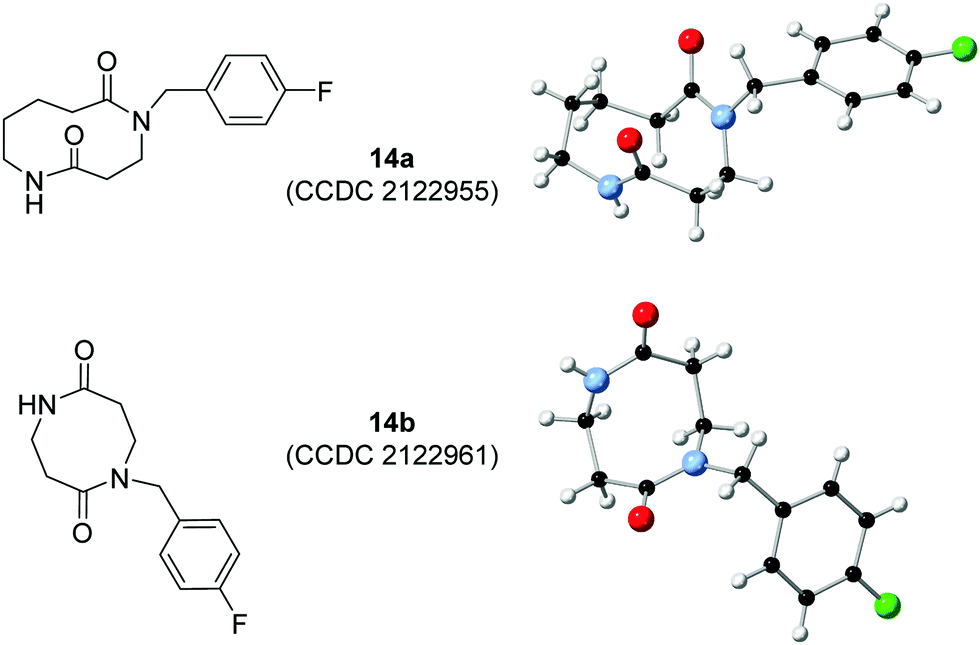Synthesis Of Medium Ring Lactams And Macrocyclic Peptide Mimetics Via
