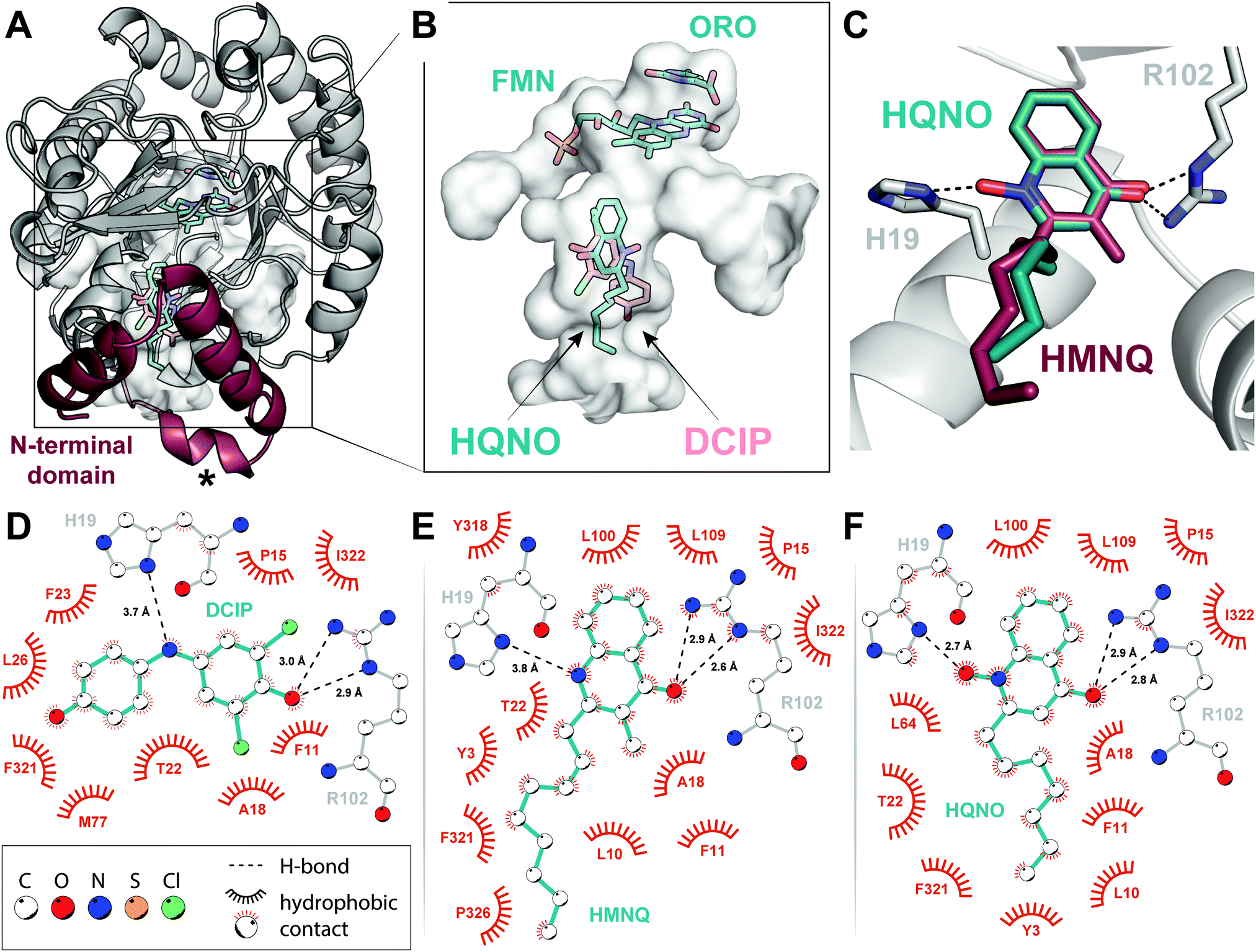 Structural insights into inhibition of the drug target dihydroorotate ...
