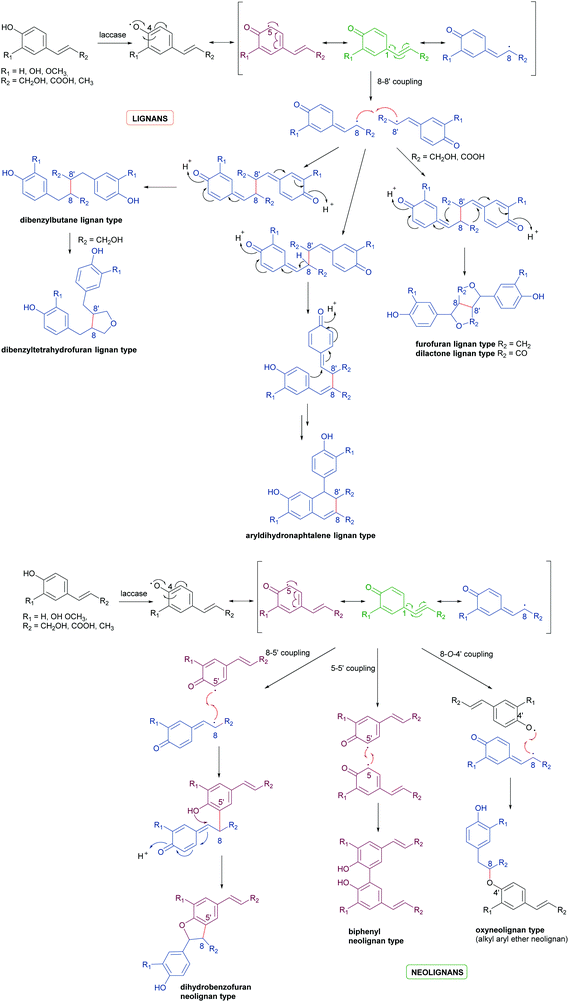 Laccase-mediated synthesis of bioactive natural products and their ...