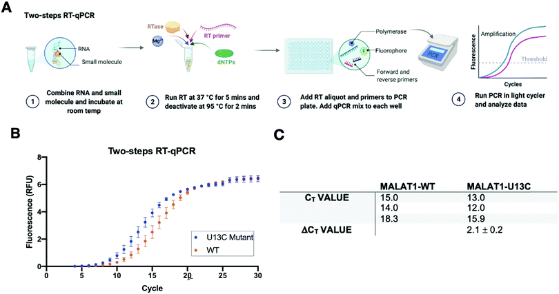 RT-qPCR as a screening platform for mutational and small molecule ...
