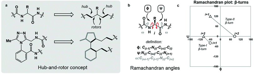 Navigating Complex Peptide Structures Using Macrocycle Conformational
