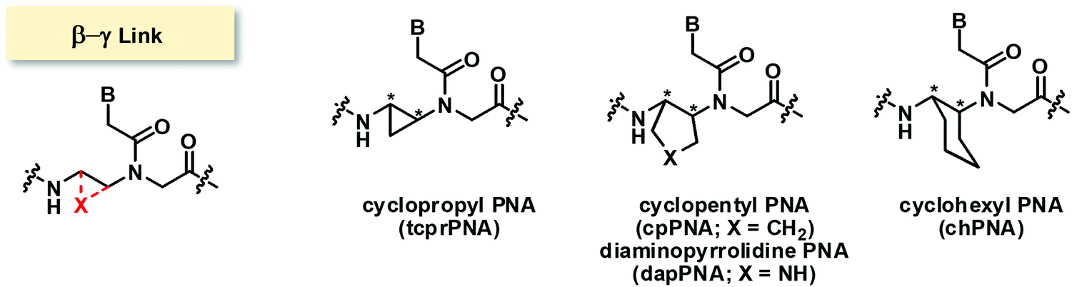 Perspectives on conformationally constrained peptide nucleic acid (PNA ...