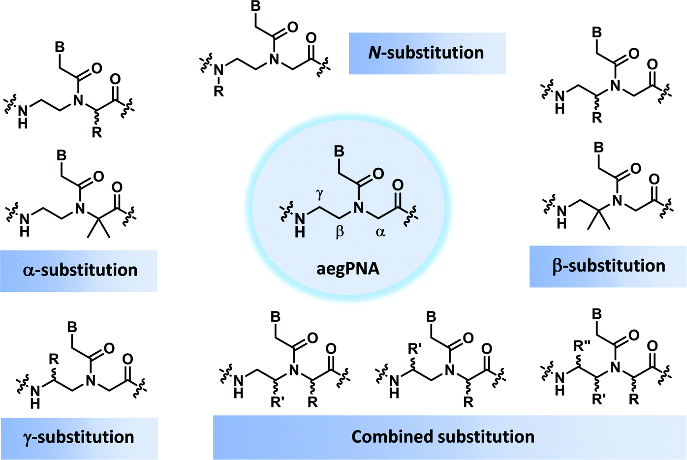 Perspectives on conformationally constrained peptide nucleic acid (PNA ...