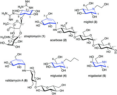 The chemistry and biology of natural ribomimetics and related compounds ...