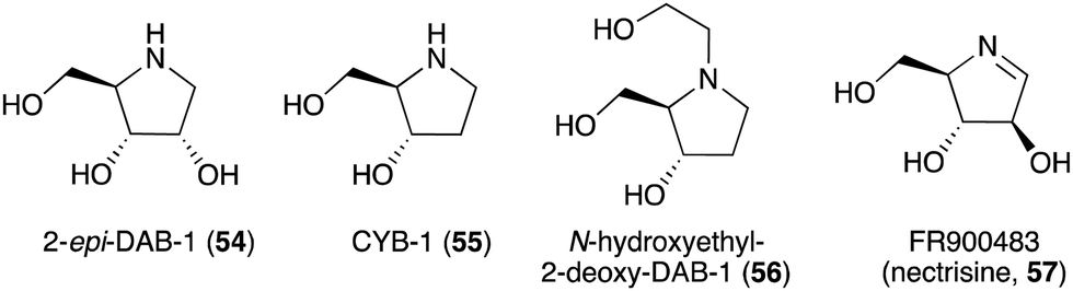 The chemistry and biology of natural ribomimetics and related compounds ...