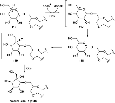 The chemistry and biology of natural ribomimetics and related compounds ...