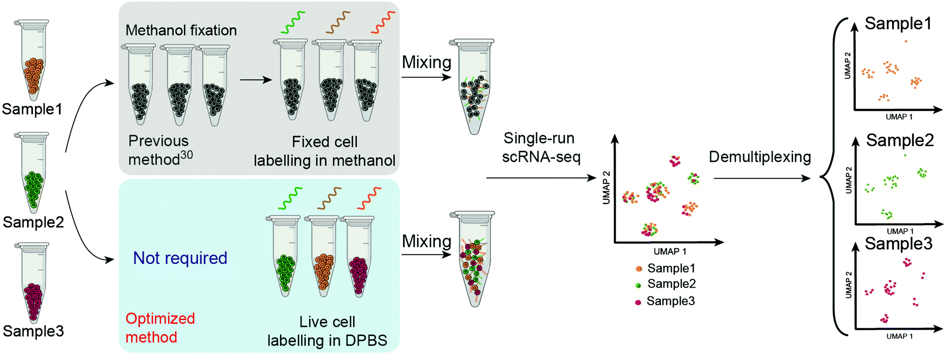 Improved ClickTags enable live-cell barcoding for highly multiplexed ...