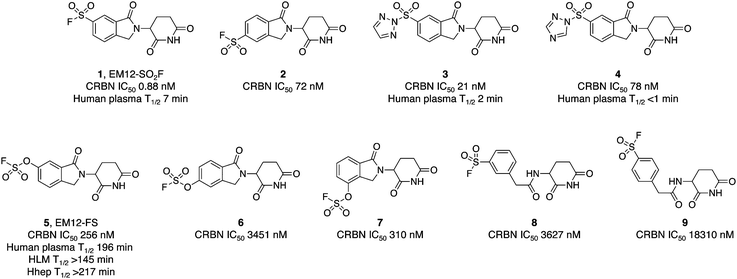 Cereblon covalent modulation through structure-based design of ...
