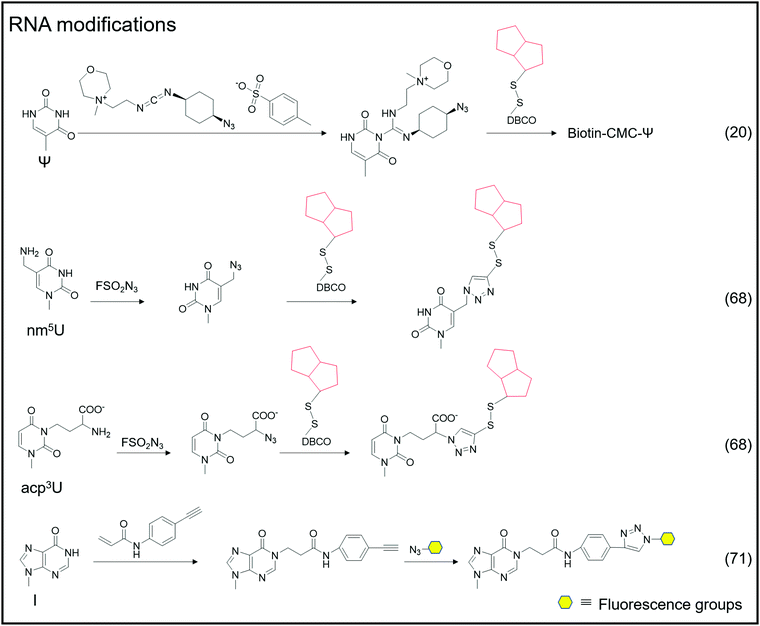 Labeling and sequencing nucleic acid modifications using bio-orthogonal ...