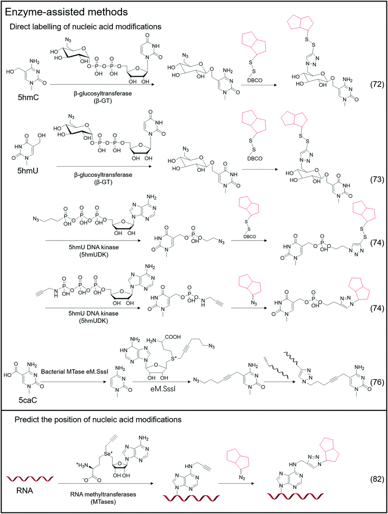 Labeling and sequencing nucleic acid modifications using bio-orthogonal ...