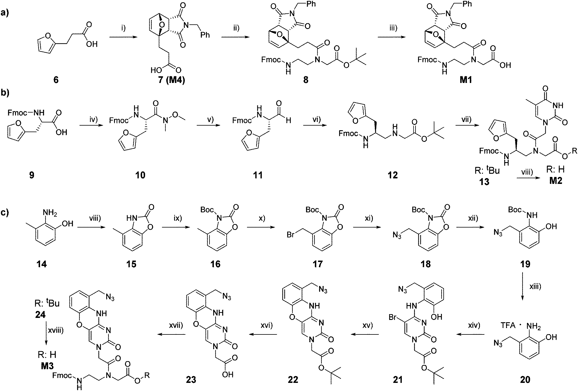 Synthesis and structure–activity relationship of peptide nucleic acid ...