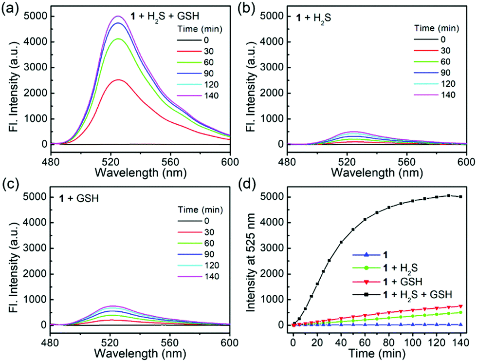 Rational design of a dual-reactive probe for imaging the biogenesis of ...