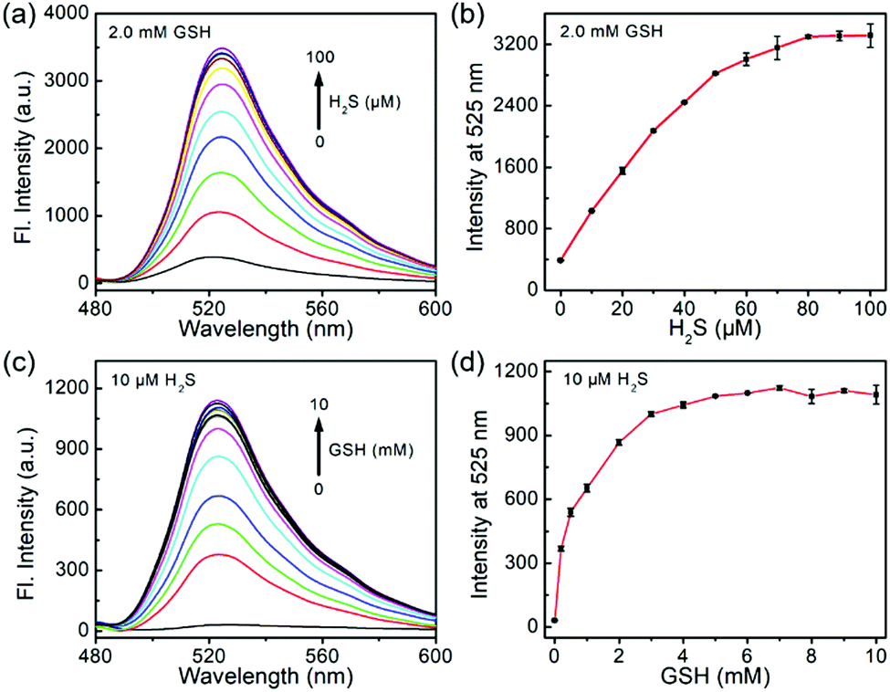 Rational design of a dual-reactive probe for imaging the biogenesis of ...