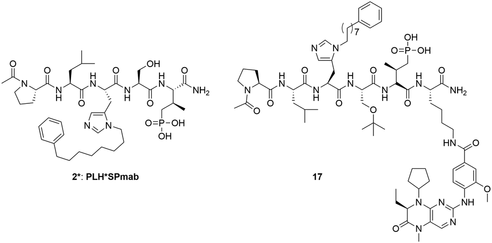 Development of ultra-high affinity bivalent ligands targeting the polo ...