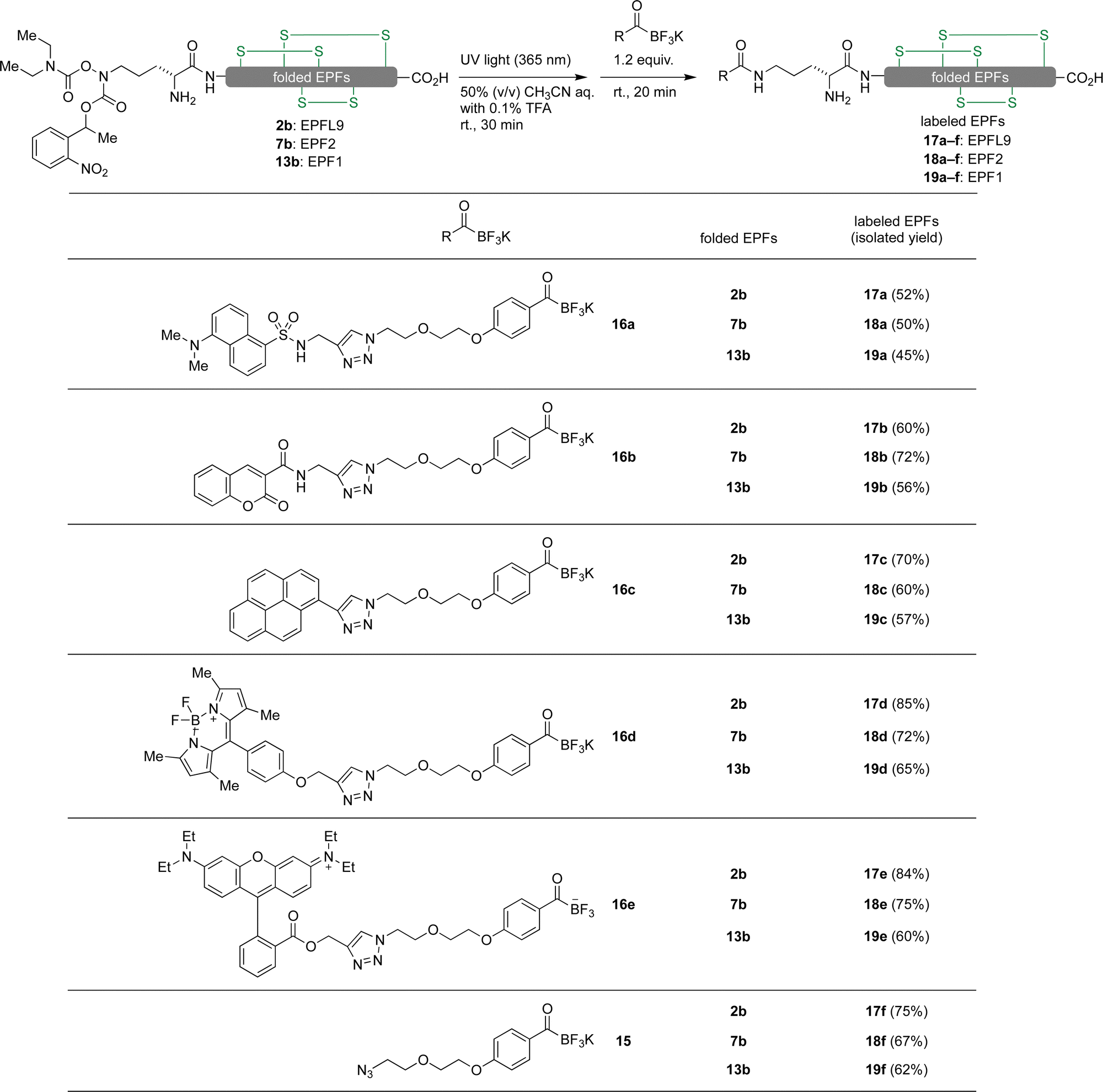 Chemical synthesis of the EPF-family of plant cysteine-rich proteins ...