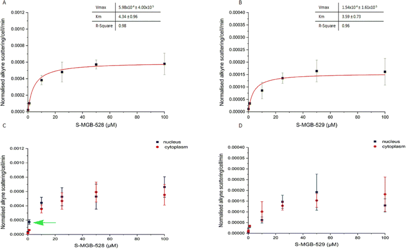 Ratiometric imaging of minor groove binders in mammalian cells using ...