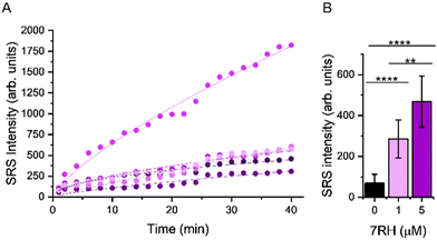 Temporal imaging of drug dynamics in live cells using stimulated Raman ...