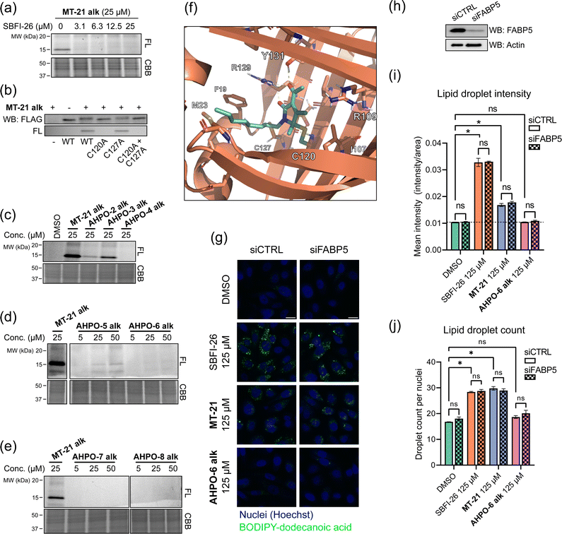 The covalent reactivity of functionalized 5-hydroxy-butyrolactams is ...