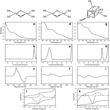 Interconversion between [2Fe–2S] and [4Fe–4S] cluster glutathione ...