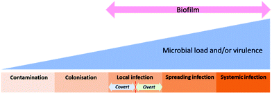 Non-invasive, 3D printed, colourimetric, early wound-infection ...