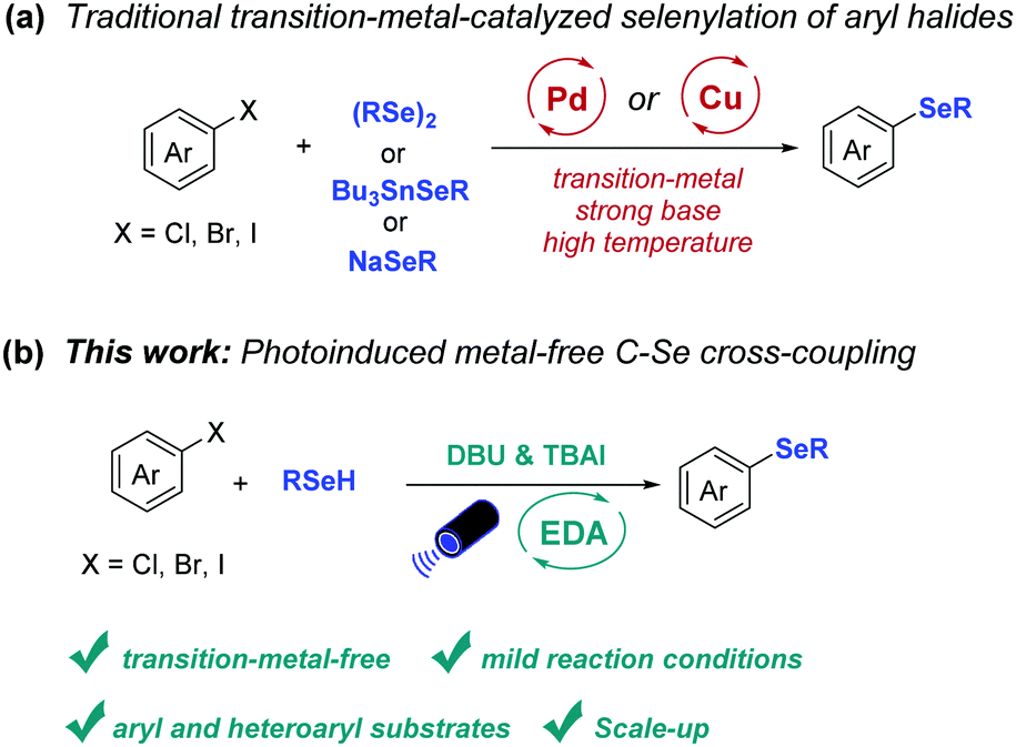 Metal-free C–Se cross-coupling enabled by photoinduced inter-molecular ...