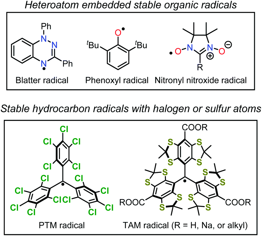 Synthesis, properties and chemical modification of a persistent ...