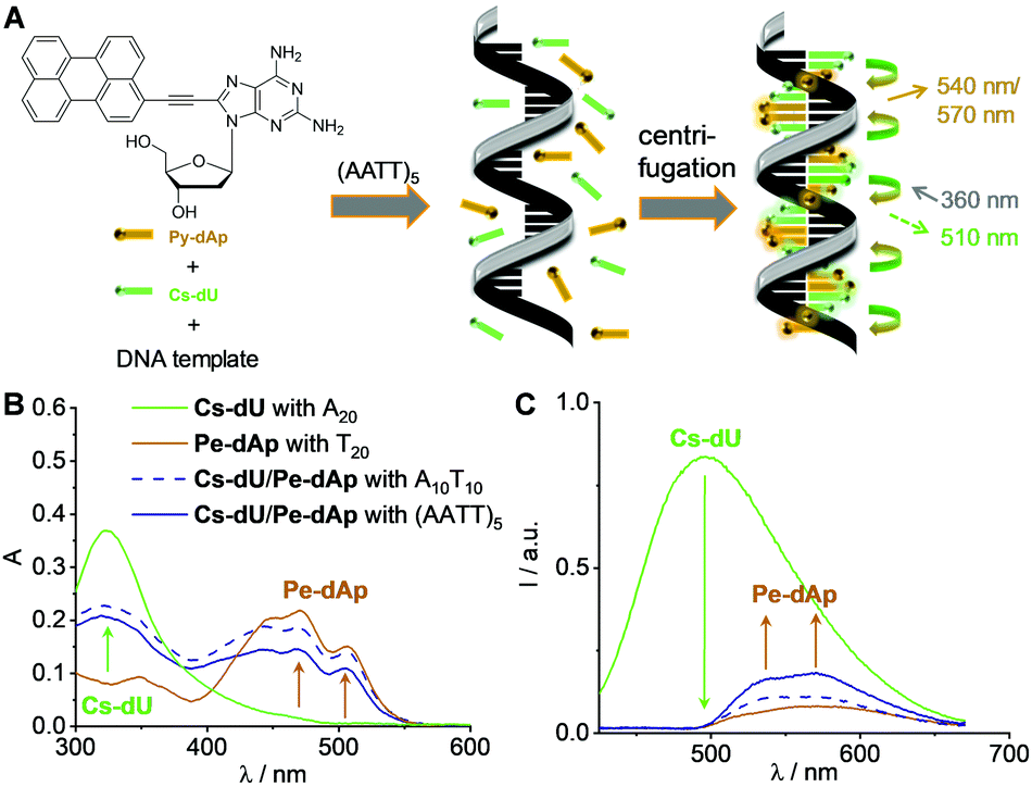 Aggregation-induced emission by sequence-selective assembly of ...