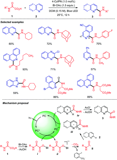 Oxamic acids: useful precursors of carbamoyl radicals - Chemical ...