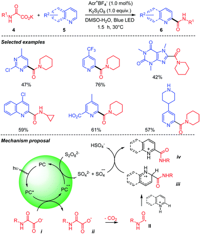 Oxamic acids: useful precursors of carbamoyl radicals - Chemical ...