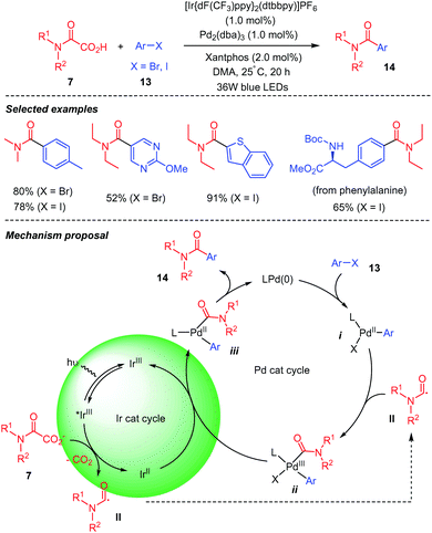 Oxamic acids: useful precursors of carbamoyl radicals - Chemical ...