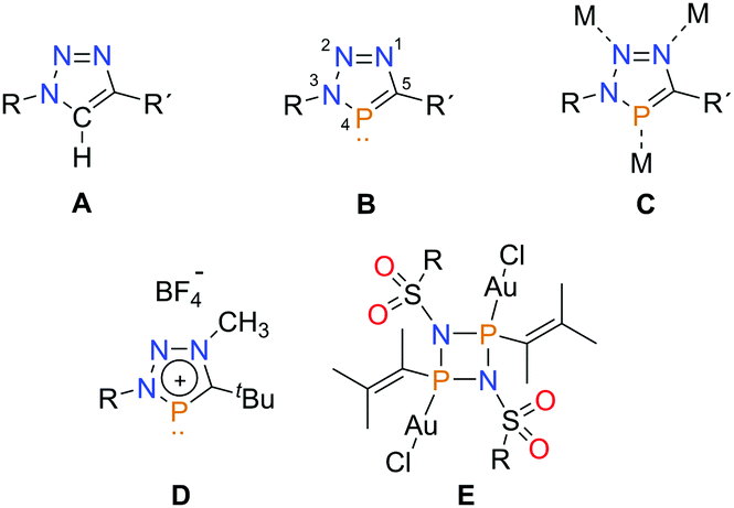 A new access to diazaphospholes via cycloaddition–cycloreversion ...