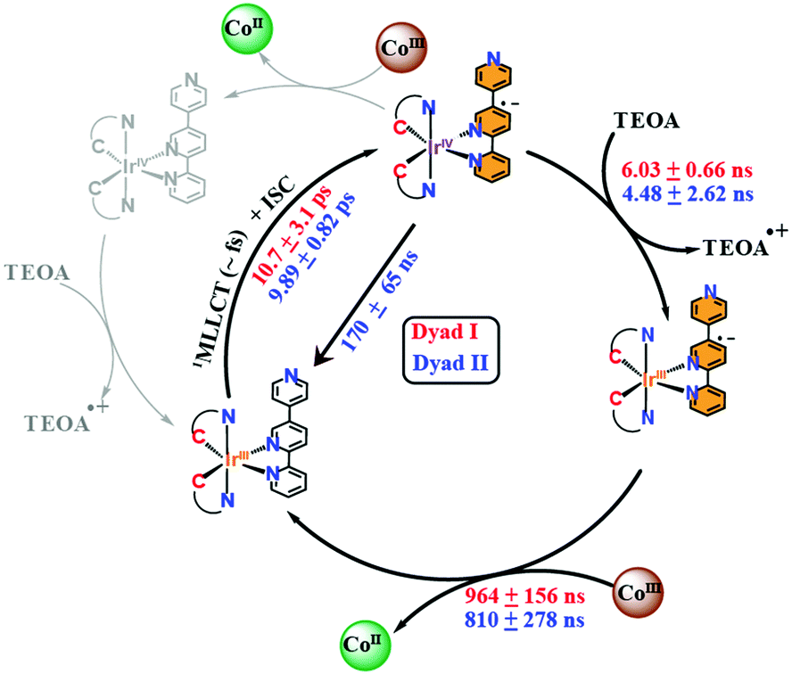 Deciphering the photophysical kinetics, electronic configurations and ...