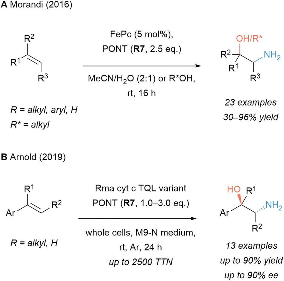The advent of electrophilic hydroxylamine-derived reagents for the ...
