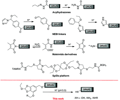 A pH-responsive crosslinker platform for antibody-drug conjugate (ADC ...